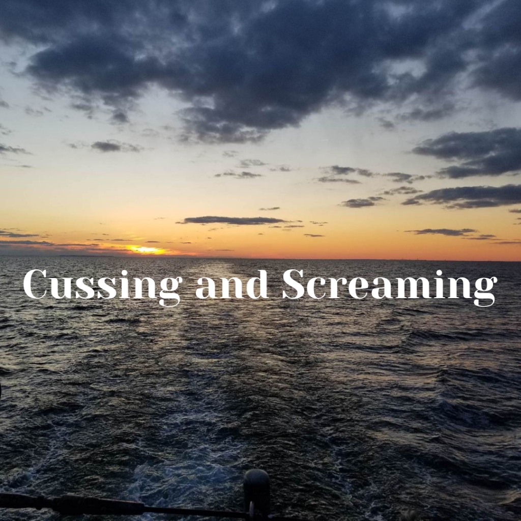 Cussing and Screaming - Mommy Needs A Hug